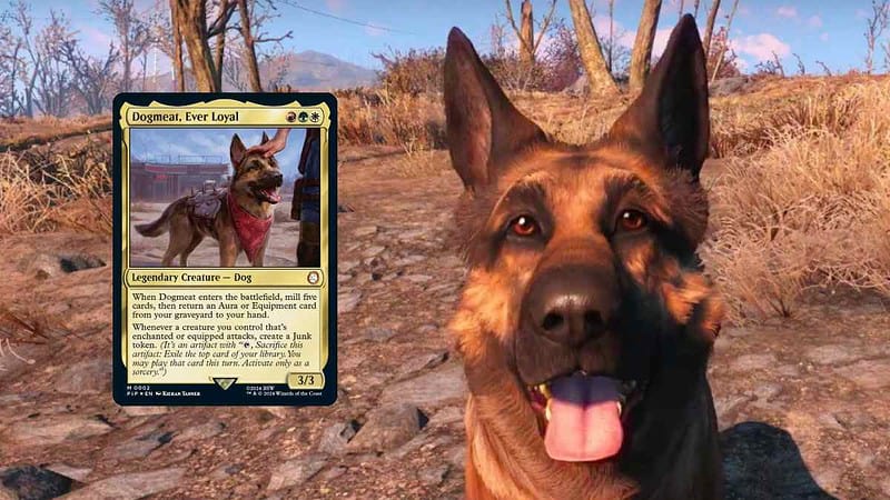Radiation in MTG Fallout - Rad Counters and keywords explained - VideoGamer